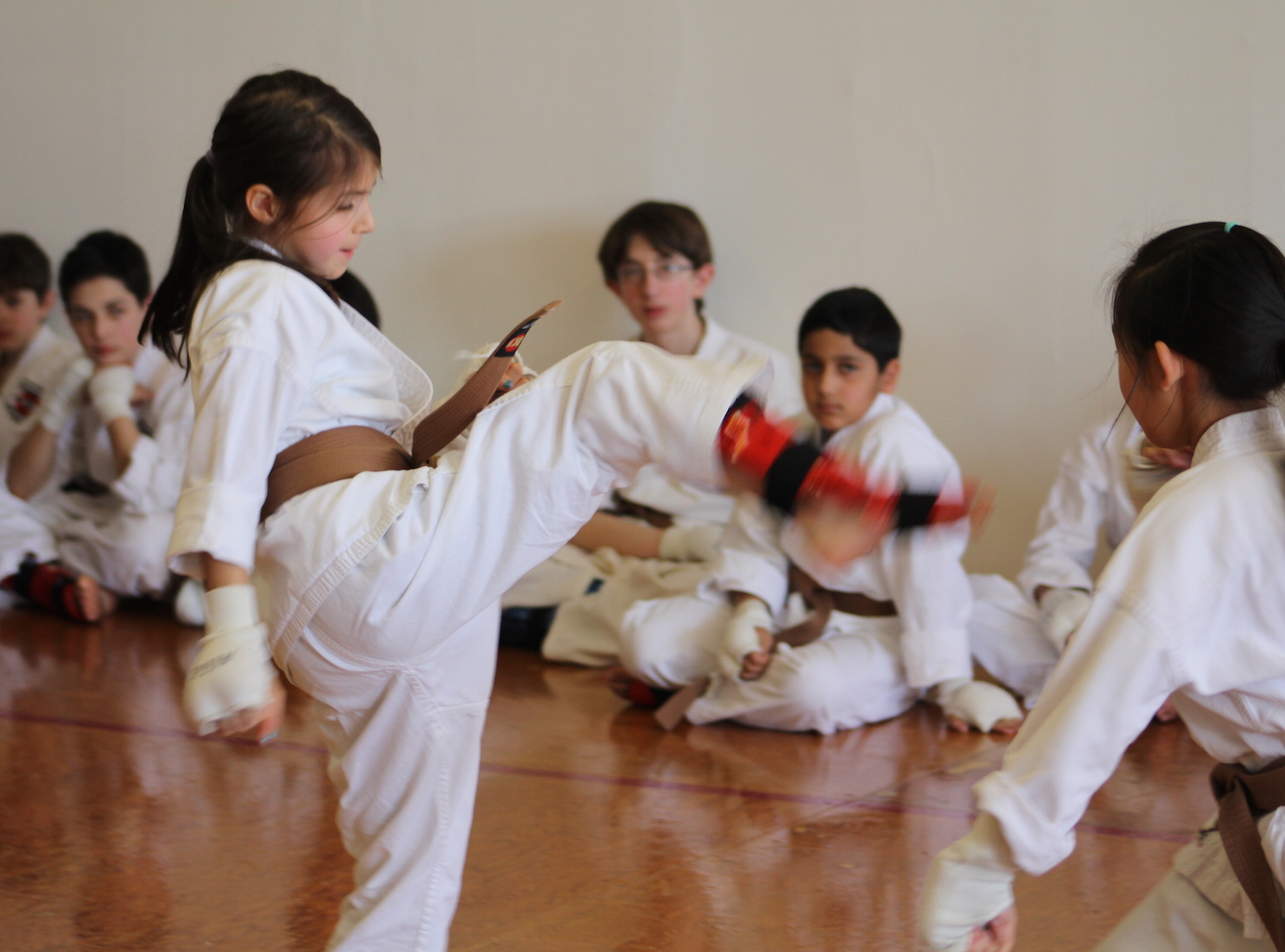 Photos – USA Kenkojuku Shotokan – Takahashi Karate Dojo